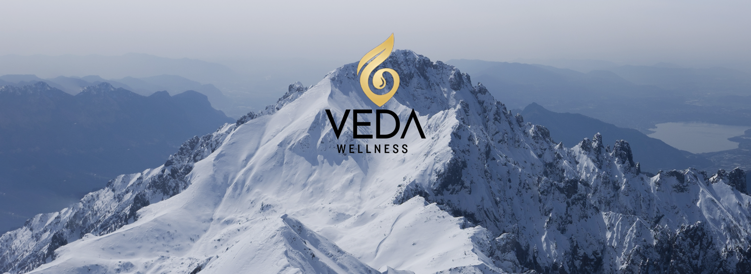 Veda Wellness